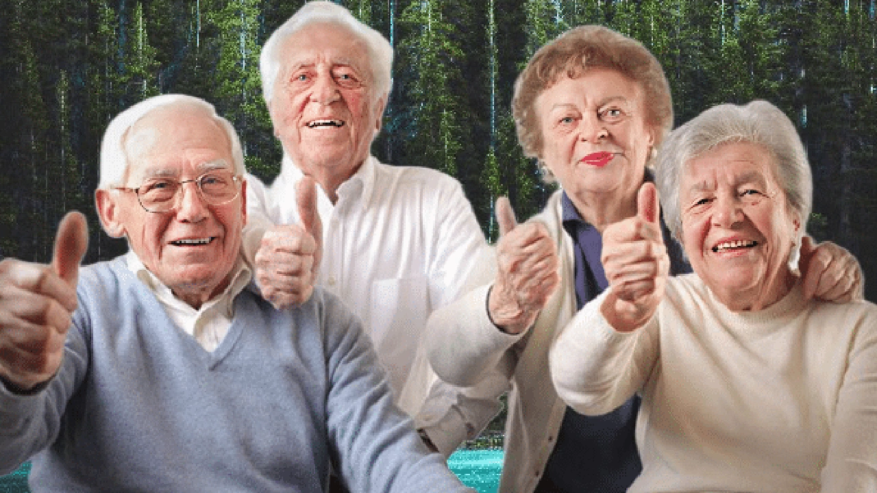 A journey towards permanent youth: healthy arts to live with vitality ...