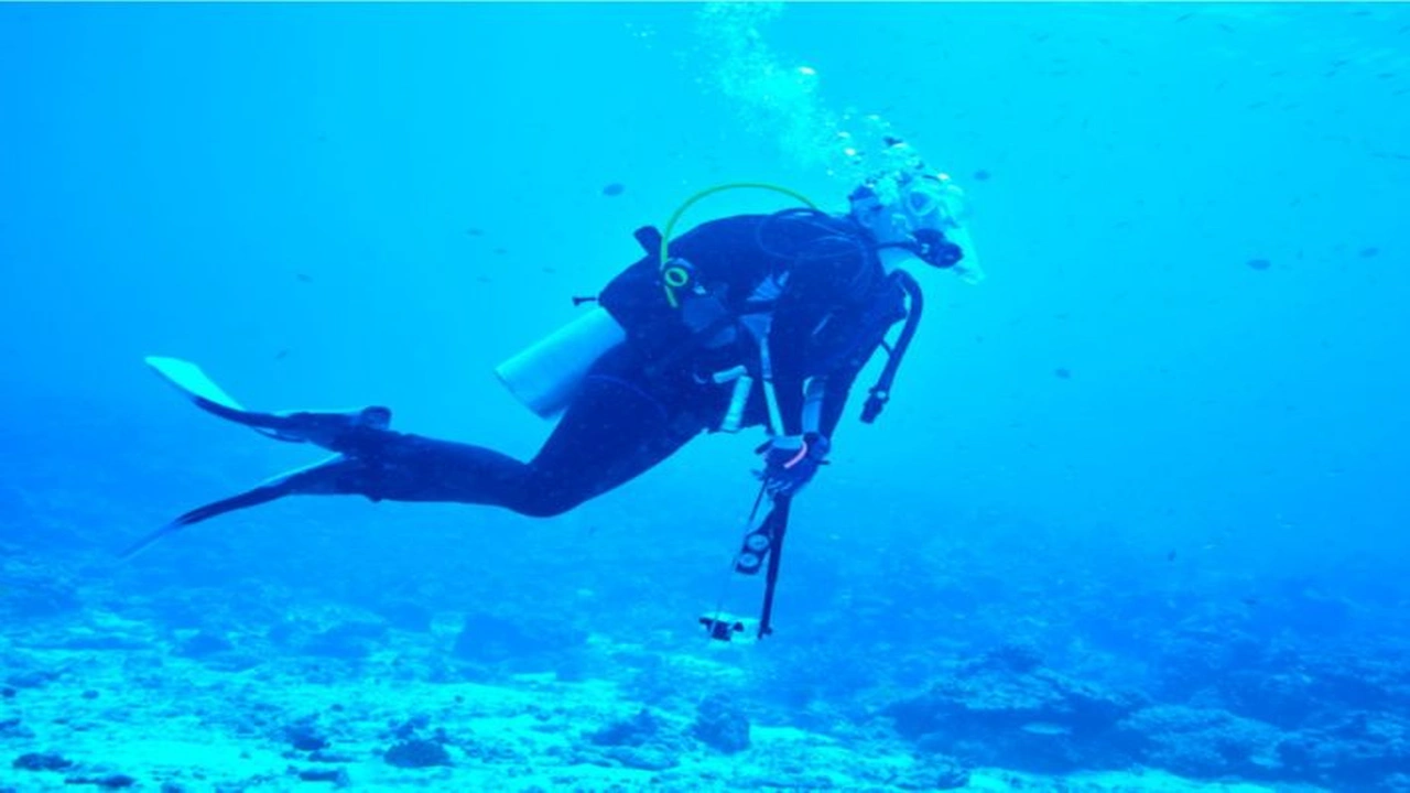 موضوع تعبير بالانجليزي عن الغوص - Scuba diving paragraph - كلمات اغاني